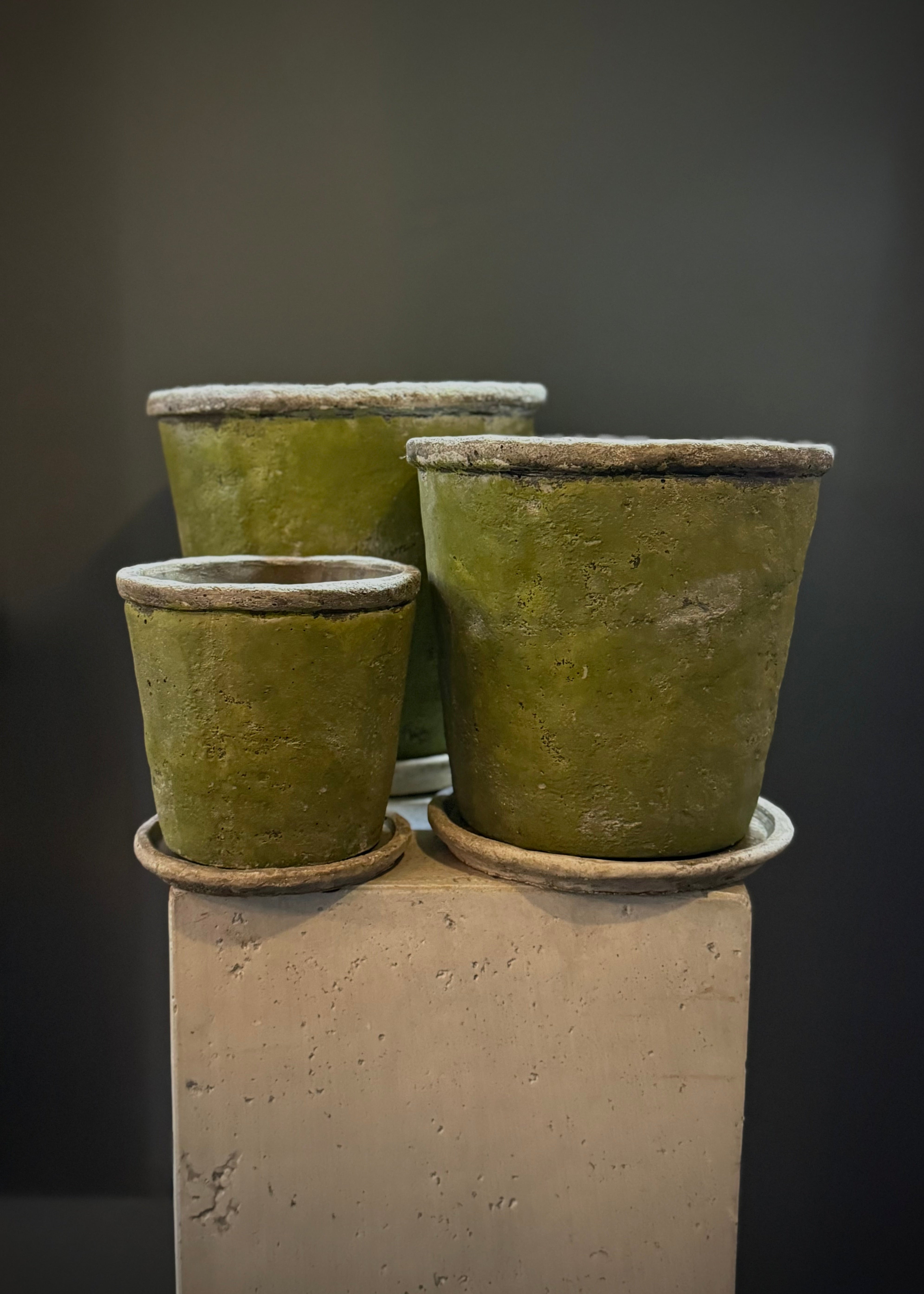Evergreen Pot – Hart's Florist